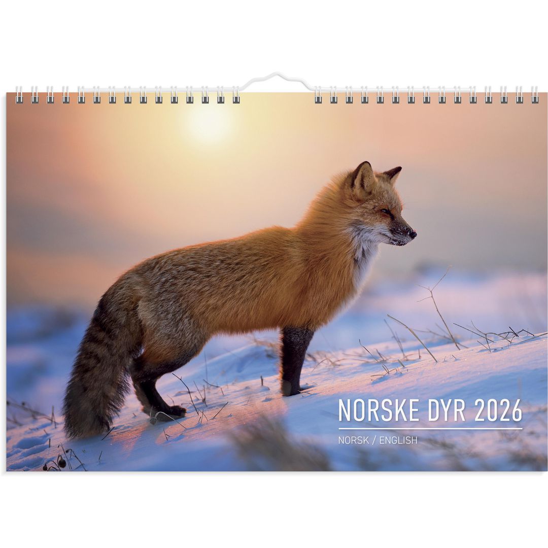 Veggkalender Norske dyr - 2026 - Zareus Office