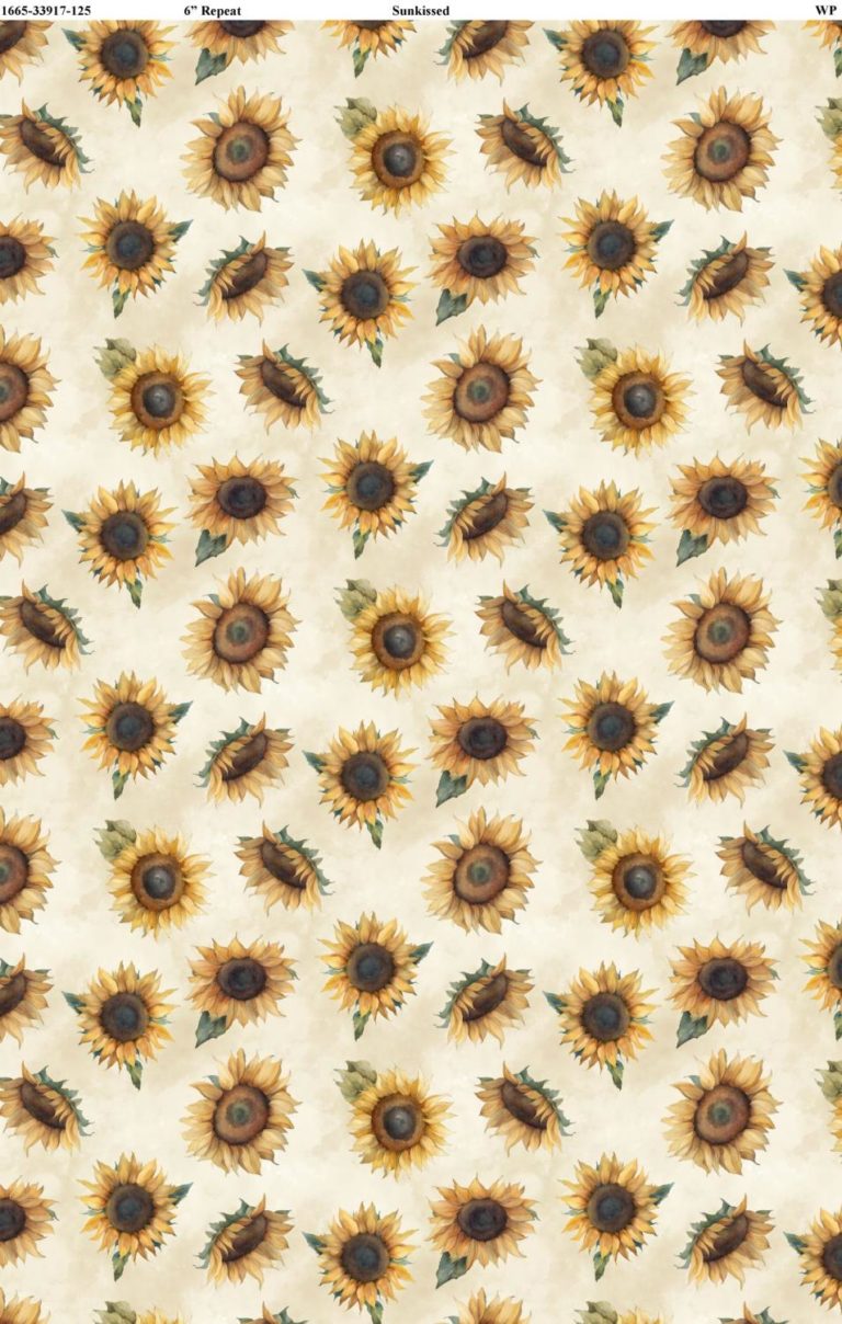 Hjem - Singer Bernina Sysenter AS