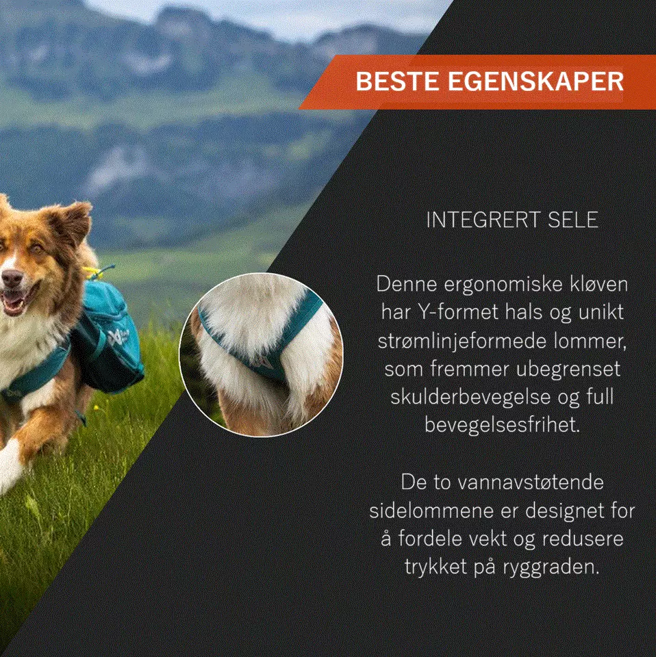 Non-Stop Trail Light Dog Backpack Teal M - Pets ZooTropia AS