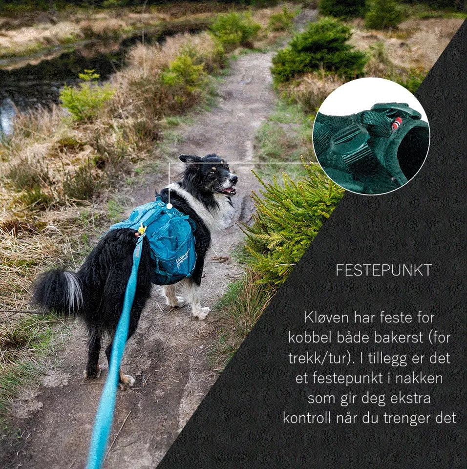 Non-Stop Trail Light Dog Backpack Teal M - Pets ZooTropia AS